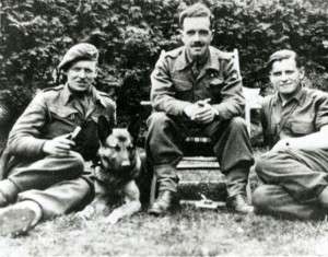 Paratrooper Brian, D.M. and the future of military working dogs ...